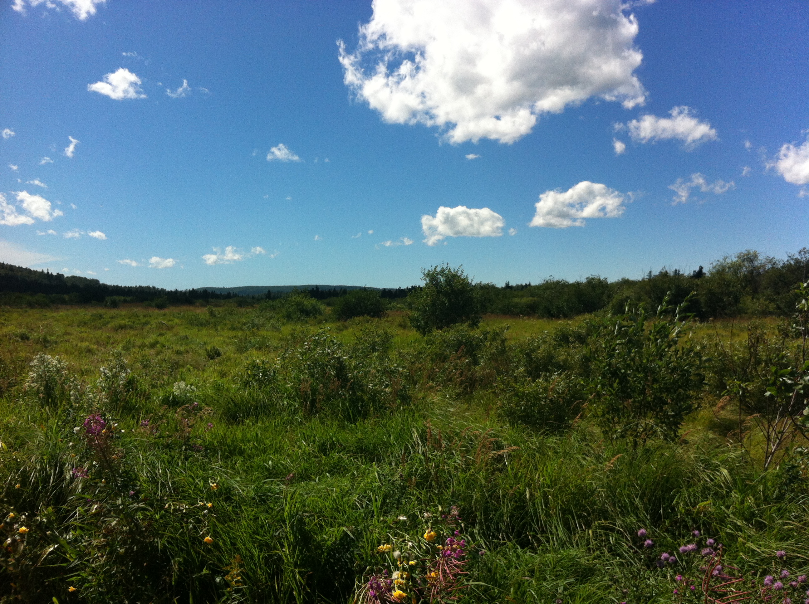 Crystal Bay Township – Minnesota