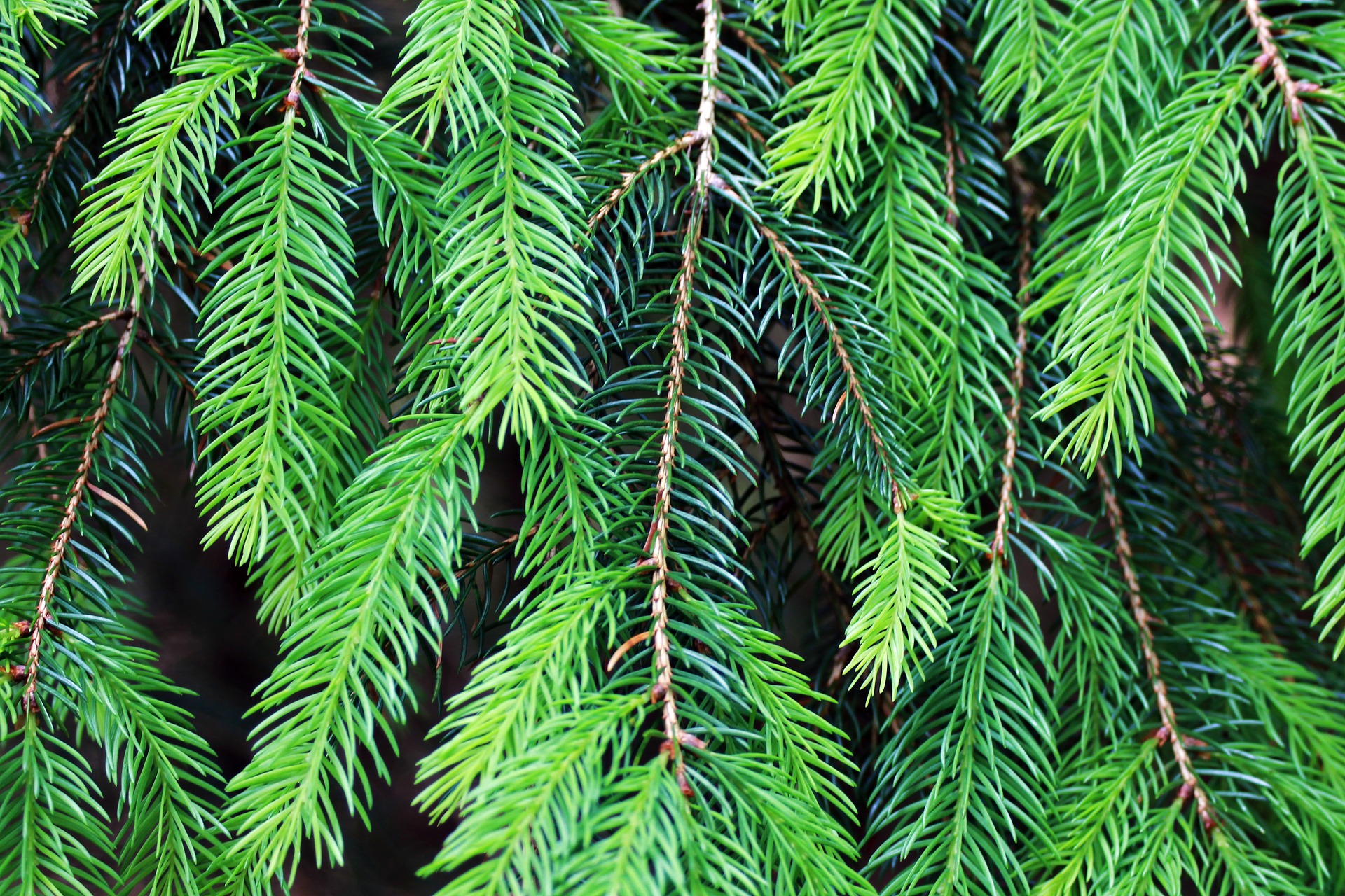 Crystal Bay Township – Minnesota